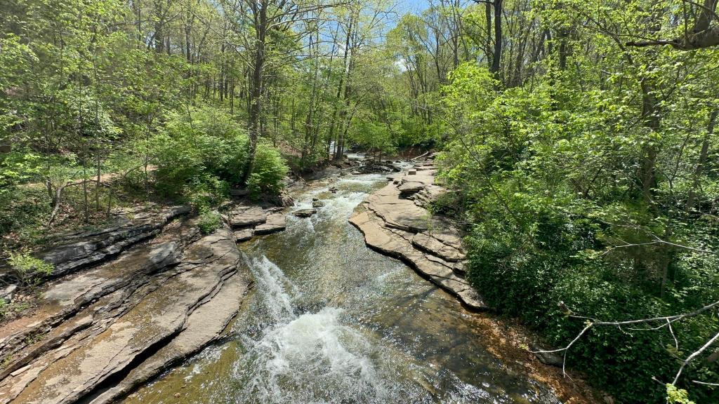 One Body, Many Members • Chad A. Brodrick